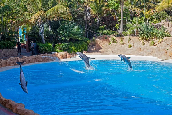 PUERTO DE LA CRUZ, TENERIFE, SPAIN - FEBRUARY 25, 2022: water shows ...