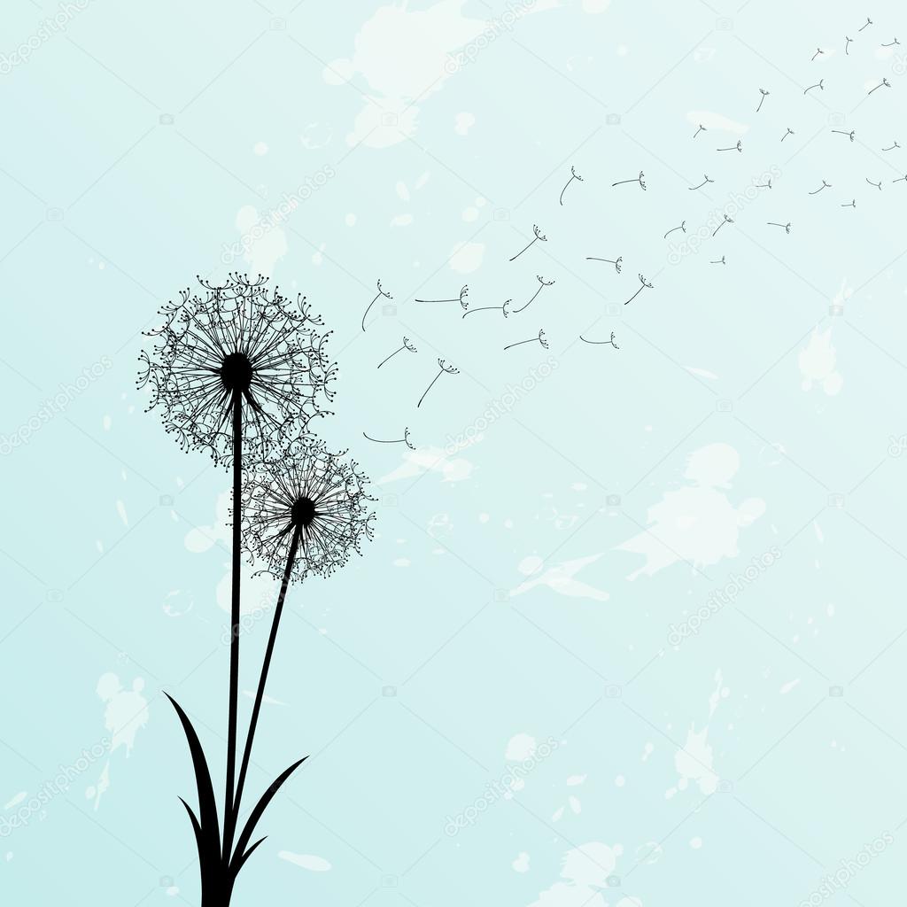 Abstract dandelion vector — Stock Vector © mihail1981 #32512403