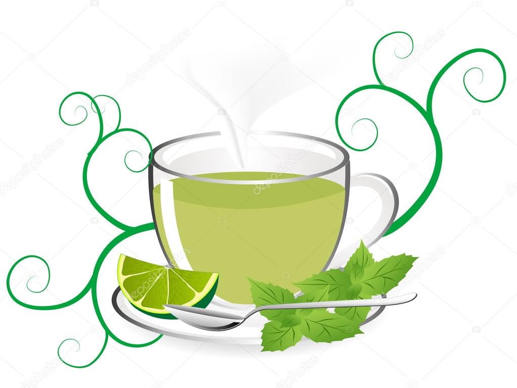 Mint tea Stock Vector Image by ©sarininka #26459129