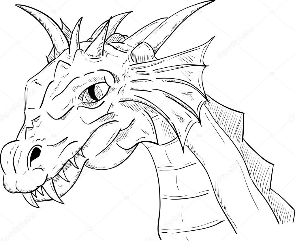 Dragon Head Side View Drawing
