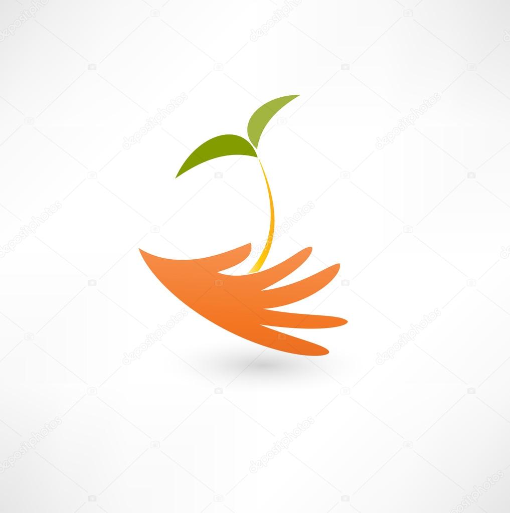 Hands and plant icon Stock Vector by ©file404 30379867