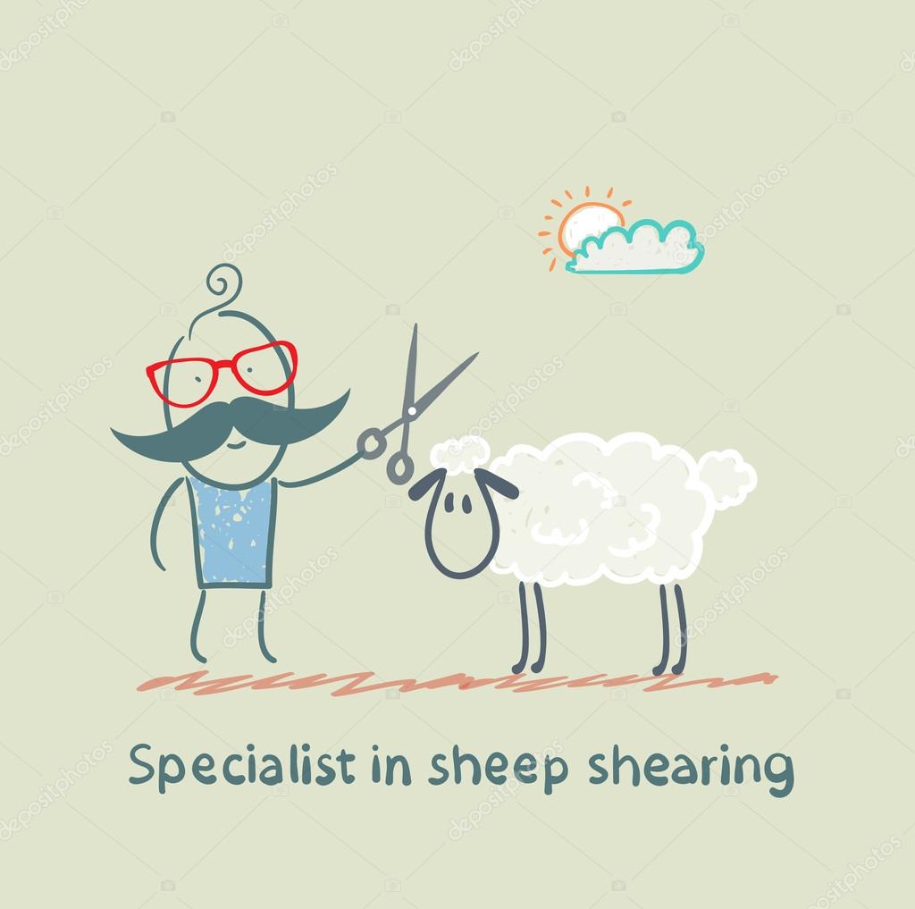 Specialist sheep shearing Stock Vector by ©file404 37585609