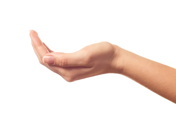 Human hand Stock Photos, Royalty Free Human hand Images | Depositphotos