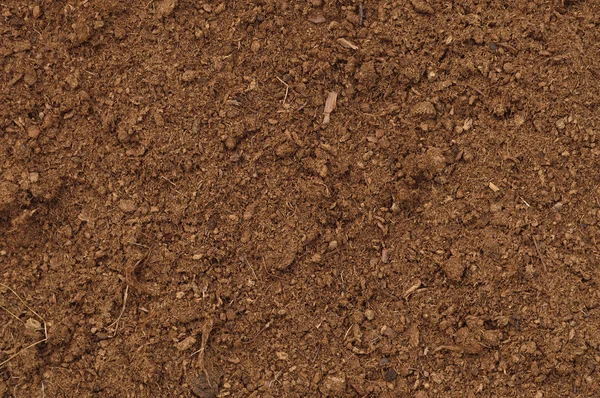 Peat Turf Macro Closeup, large detailed brown organic humus soil ...