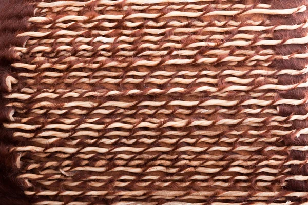 Sinew Stock Photos, Royalty Free Sinew Images | Depositphotos