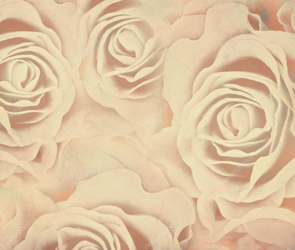 Fondo de rosas color beige — Fotos de Stock © amuzica #31168725