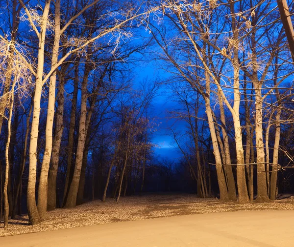 Frosty night Stock Photos, Royalty Free Frosty night Images | Depositphotos