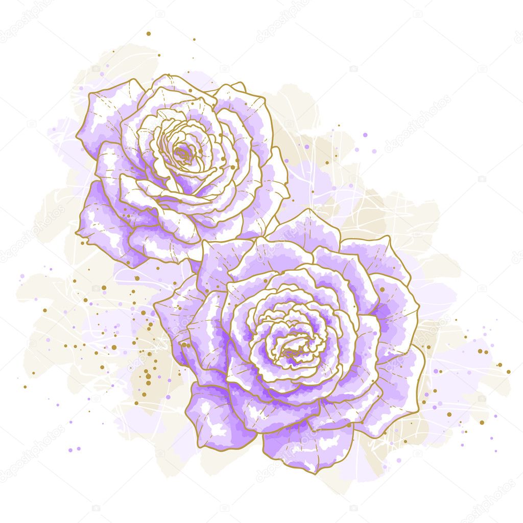 Rosas violetas sobre fondo blanco Vector de stock por ©jetFoto 29651625