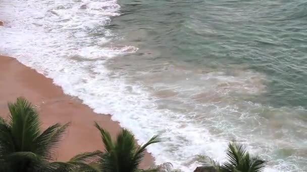 321 Rivages marins Videos, Royalty-free Stock Rivages marins Footage ...