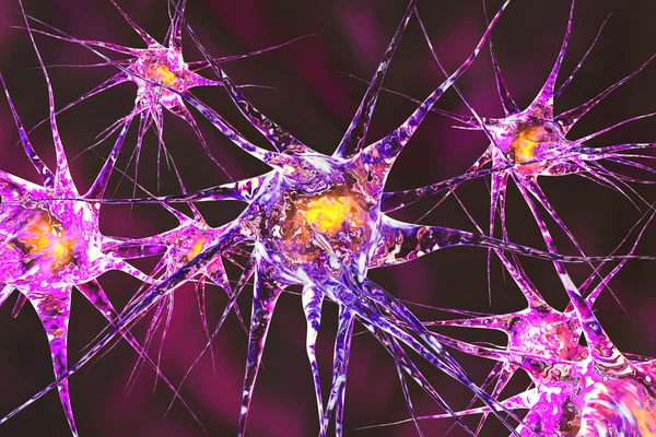 Red neuronal fotos de stock, imágenes de Red neuronal sin royalties ...