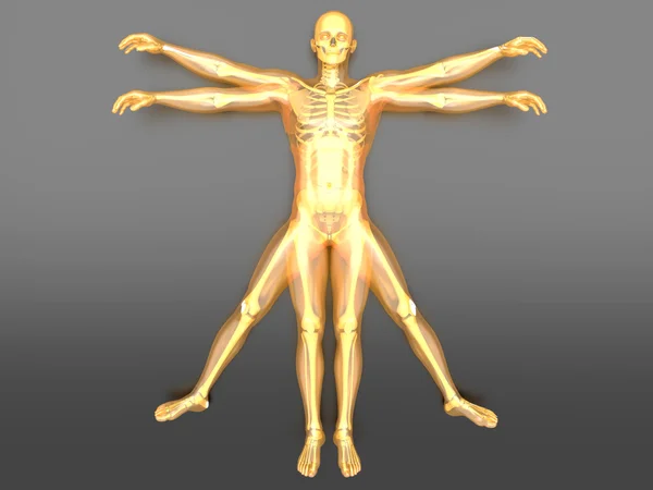 Human body mechanics Stock Photos, Royalty Free Human body mechanics ...