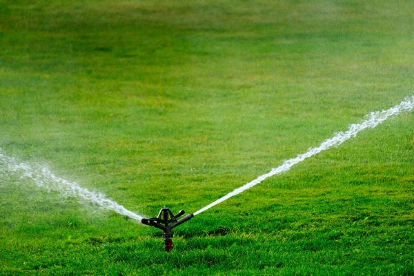 The irrigation fotos de stock, imágenes de The irrigation sin royalties ...