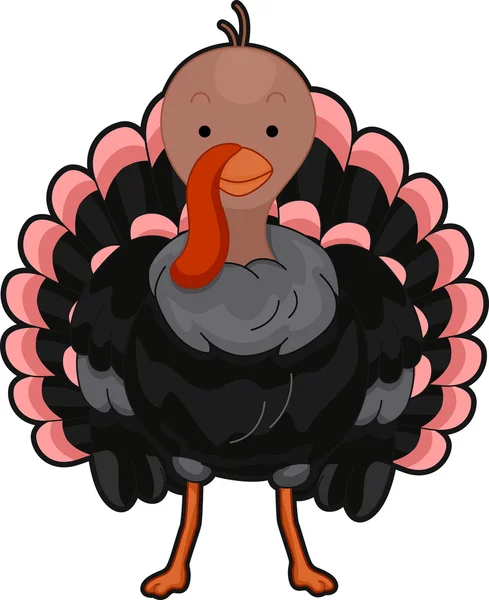 748,316 Turkey Stock Photos, Images | Download Turkey Pictures on ...