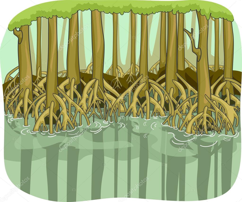 Manglar — Foto de stock © lenmdp #39462903