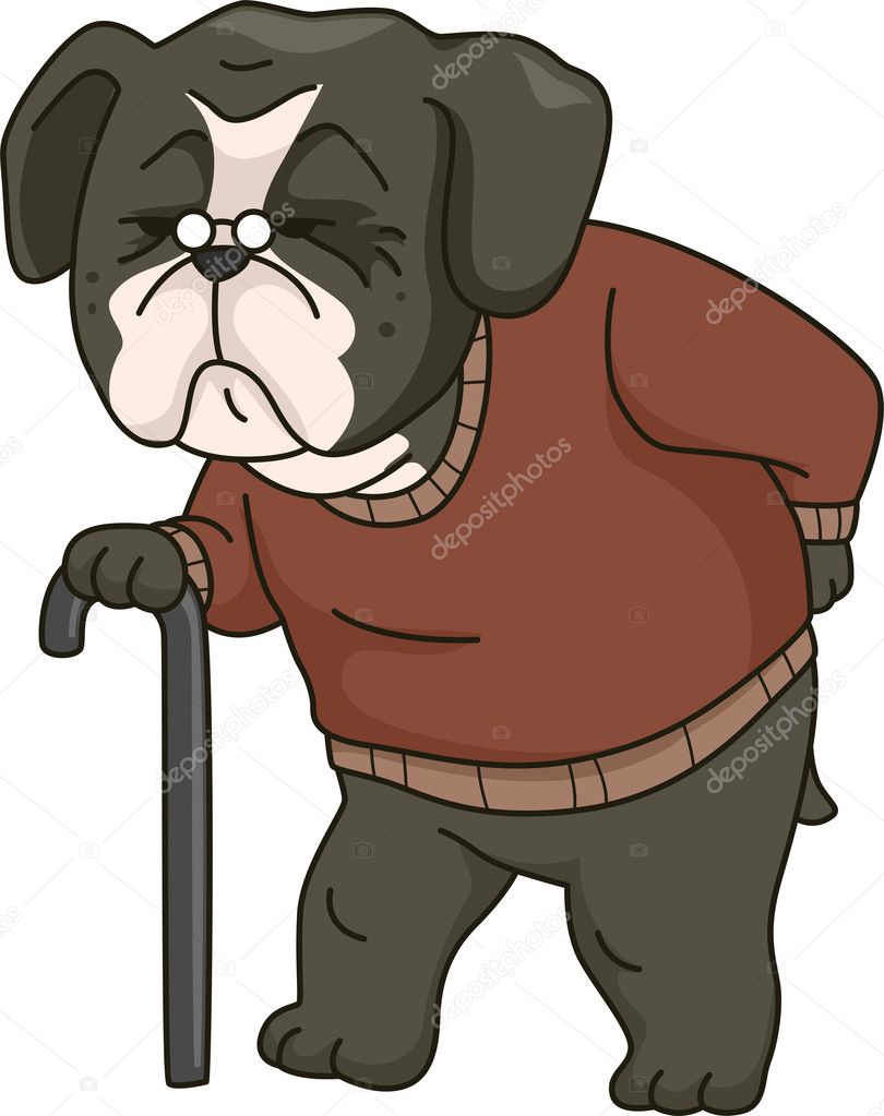 Old Dogs Cartoon Basset Hound Dog Cartoon Illustration Stock Photo