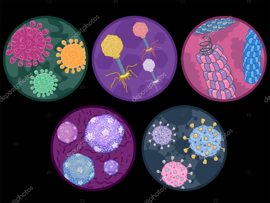 Common Viruses — Stock Photo © lenmdp #48931101