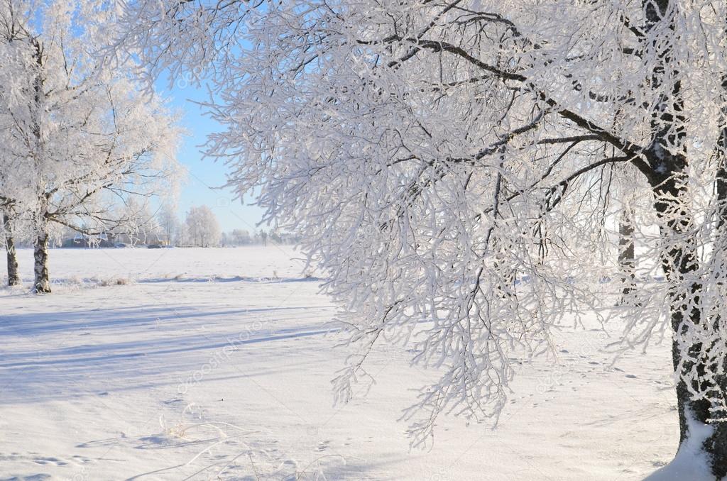 Vinterlandskap — Stockfotografi © contas30 #19172851