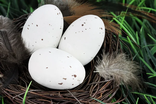 Speckled Easter Eggs in Nest Stock Photo by ©StephanieFrey 2512652