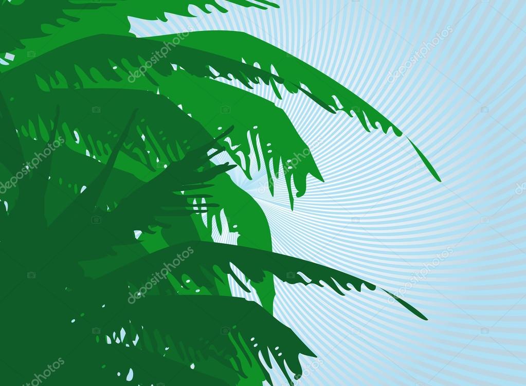 Palm background Stock Vector by ©brandzela 12269905