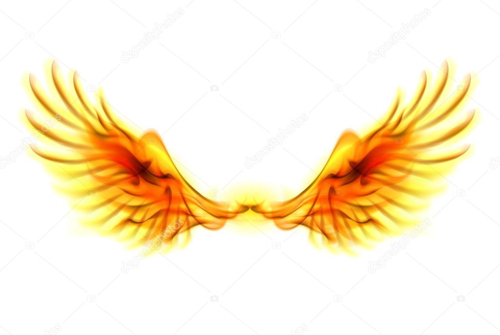 Fire wings. Stock Vector Image by ©dvargg #34277349