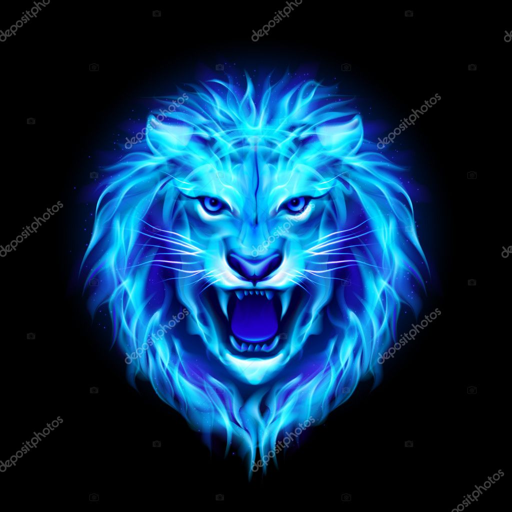 Head of fire lion. — Stock Vector © dvargg #36757081