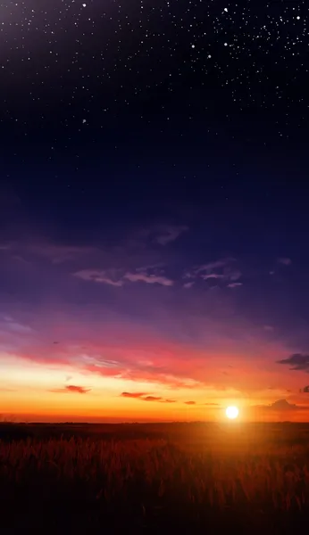 ᐈ Sunset in field stock photos, Royalty Free sunset field images ...