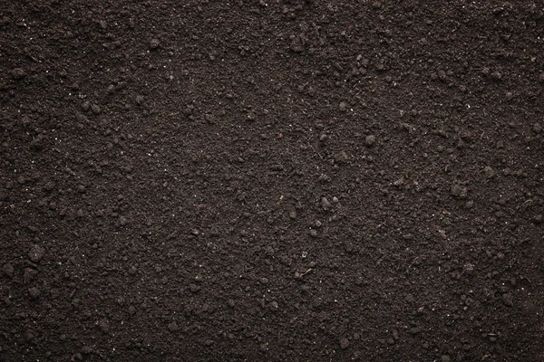 Soil Background Texture