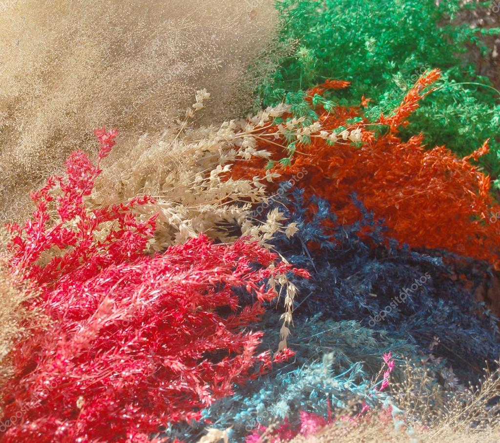 Abstract nature composition Stock Photo by ©chagall 14364751