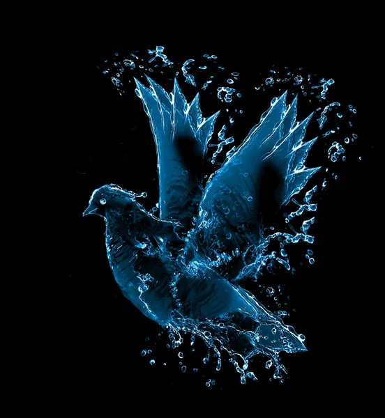 Water dove Stock Photos, Royalty Free Water dove Images | Depositphotos®