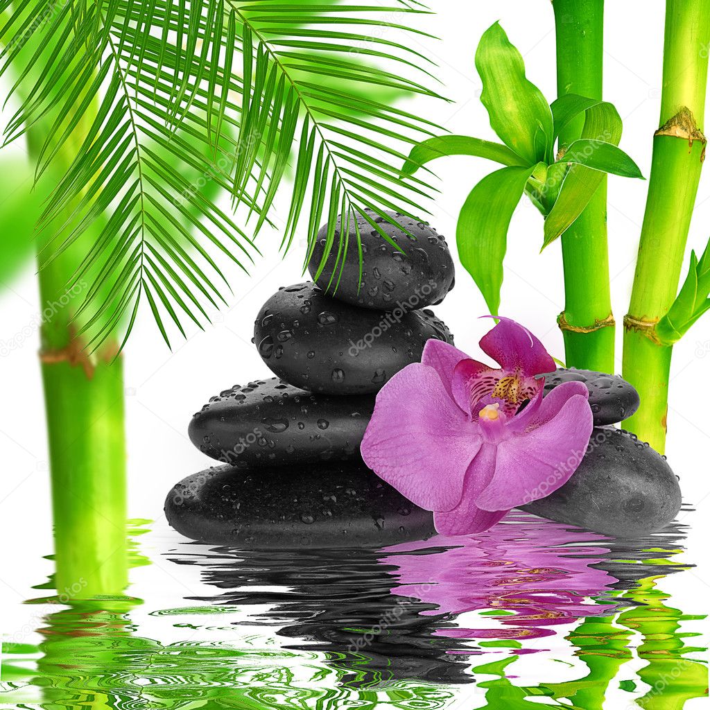 Spa background — Stock Photo © merznatalia #40285607