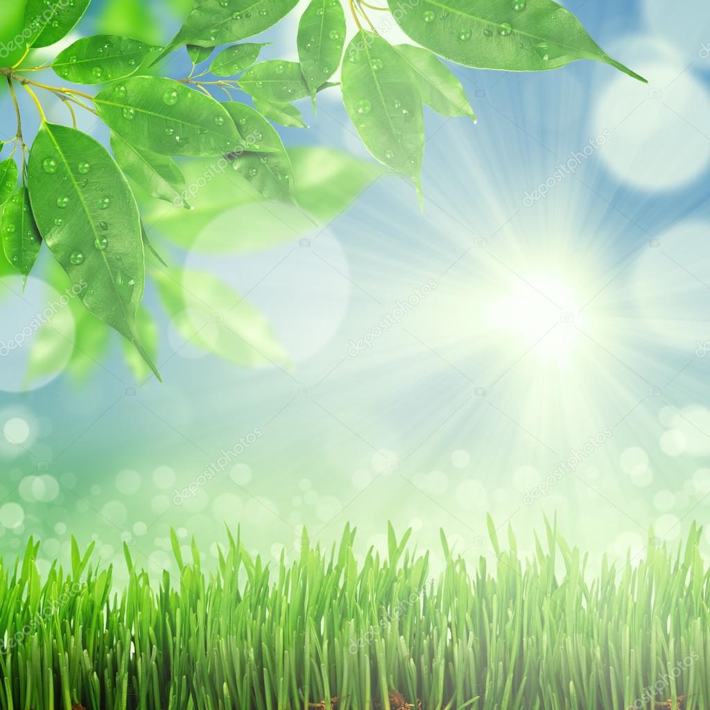 Green and blue abstract defocused background with sunshine — Stock ...