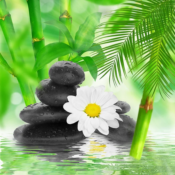 Serene Spa Background with Bamboo and Stones on Water for Ultimate ...