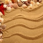 Sea shells with sand as background Stock Photo by ©smaglov 7676864
