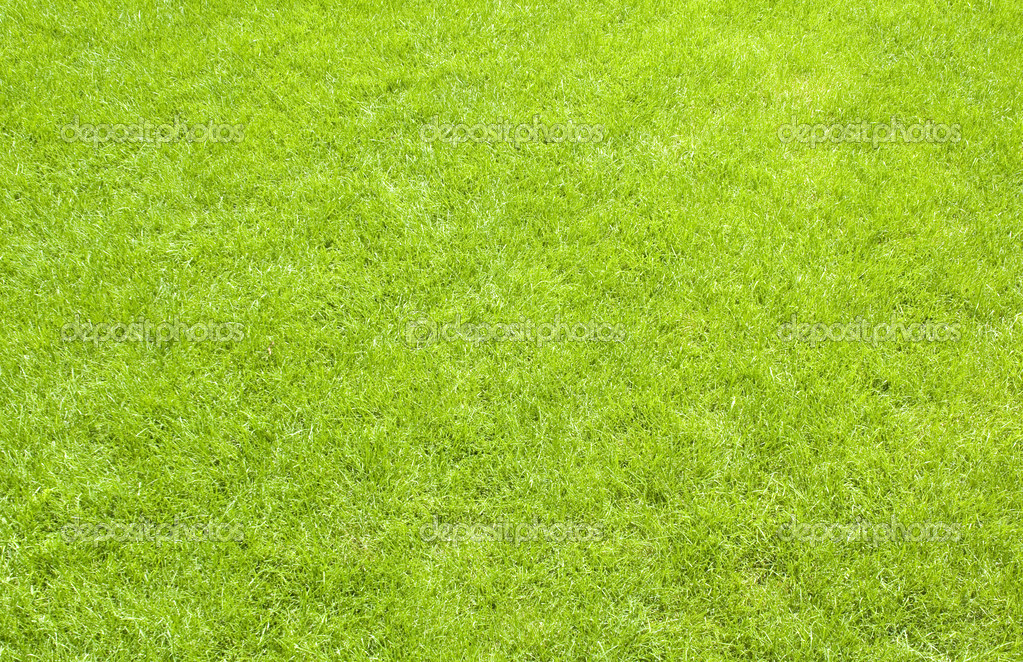 Fondo de pasto fresco césped — Foto de stock © 06photo #18954889