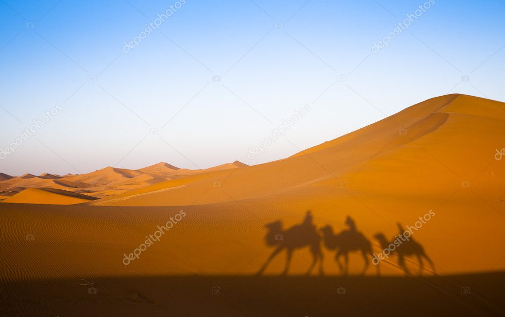 The desert camel shadow — Stock Photo © 06photo #20938749