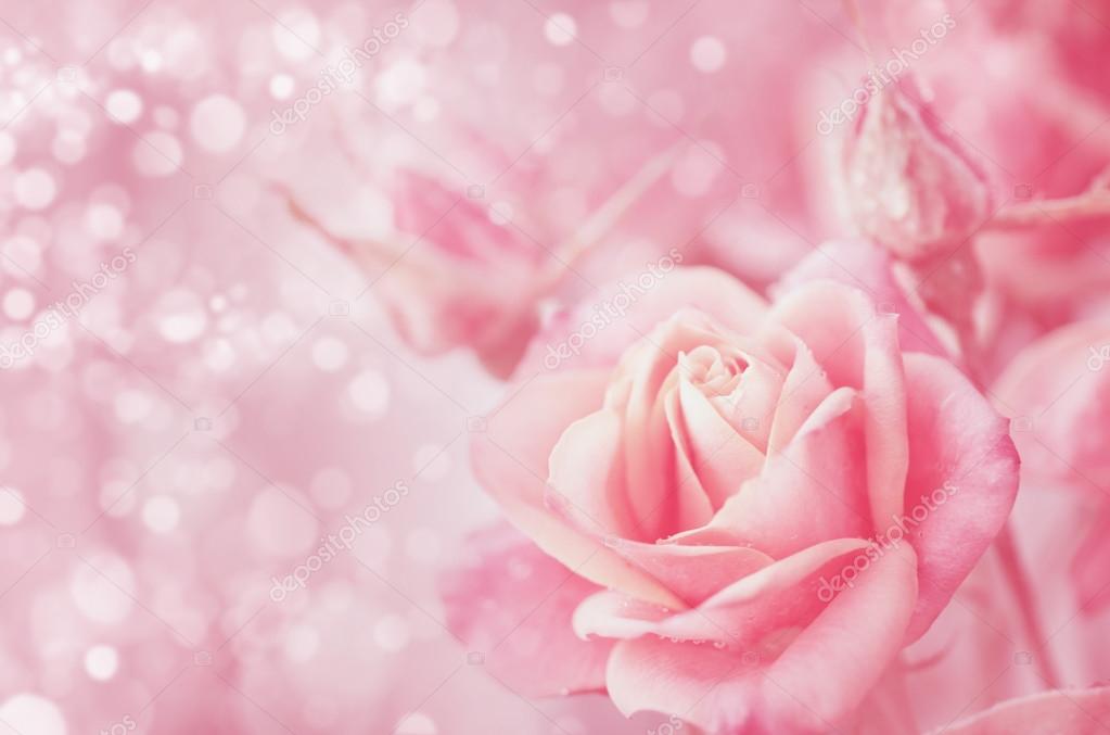 lindas rosas cor de rosa — Fotografias de Stock © Genika #43660629