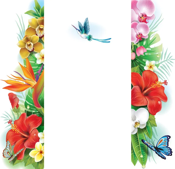 Tropical Flower Border Design Vector | Best Flower Site
