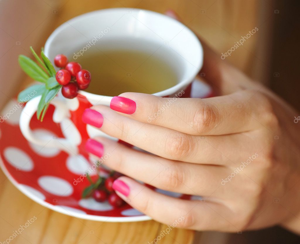 El té de la baya (Vaccinium vitis-idaea) en las manos femeninas 2024