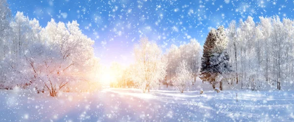 Twitter Headers Snow