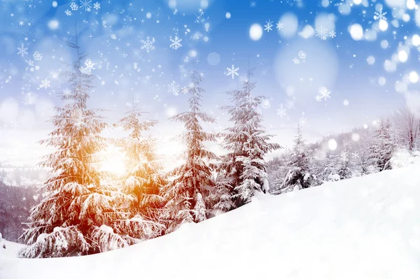 Snowstorm Stock Photos, Royalty Free Snowstorm Images | Depositphotos