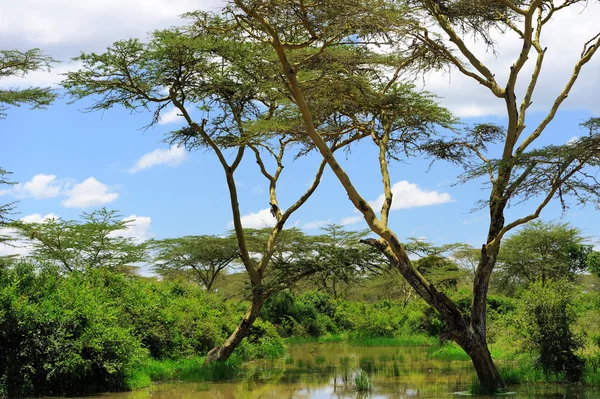 Natural resources in kenya images Stock Photos, Royalty Free Natural ...