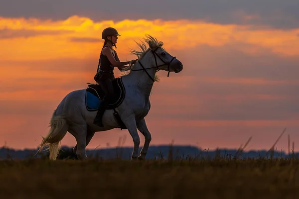 Rider and horse Stock Photos, Royalty Free Rider and horse Images ...
