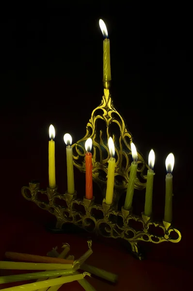 Hanuka candles in hanukkiya — Stock Photo © POOH11 #15322189