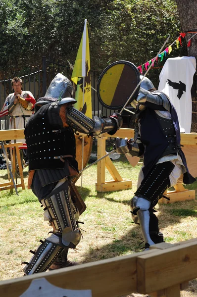 Medieval fighting Stock Photos, Royalty Free Medieval fighting Images ...