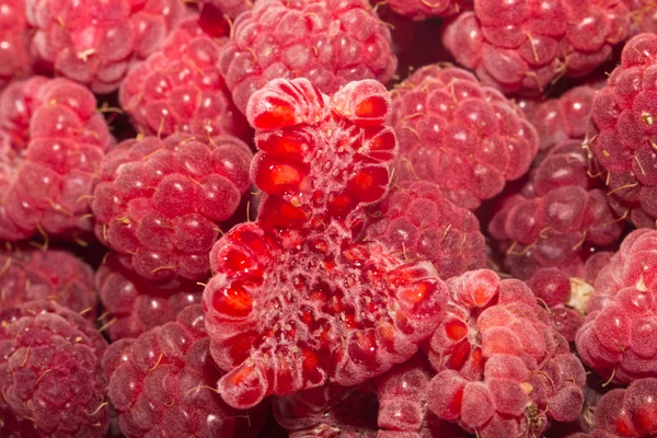 Tartar frutas Stock Photos, Royalty Free Tartar frutas Images ...