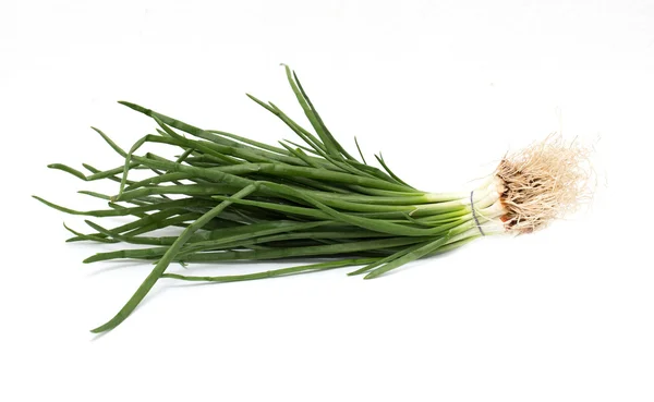 Cebolinha gigante Stock Photos, Royalty Free Cebolinha gigante Images ...