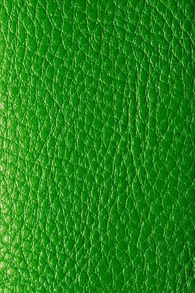 Green leather Stock Photos, Royalty Free Green leather Images ...