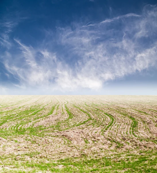 Field scape Stock Photos, Royalty Free Field scape Images | Depositphotos