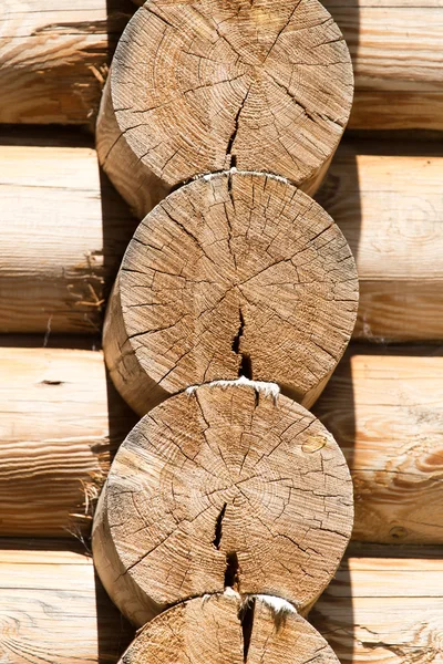 Tronco recto Stock Photos, Royalty Free Tronco recto Images | Depositphotos