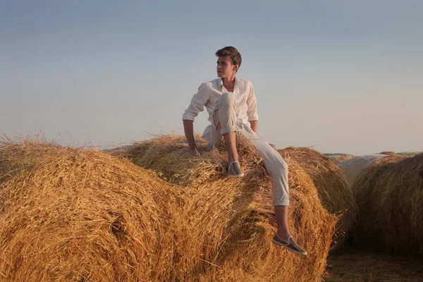 ᐈ Hay rick stock pictures, Royalty Free hay rick photos | download on ...